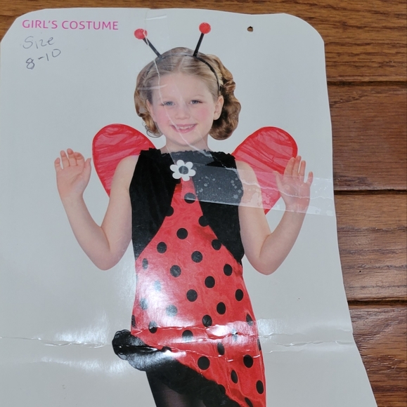 no brand | Costumes | Girls Ladybug Halloween Costume | Poshmark
